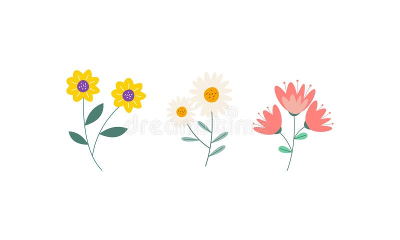Set of Spring Flowers Collection Stock Illustration - Illustration of ...
