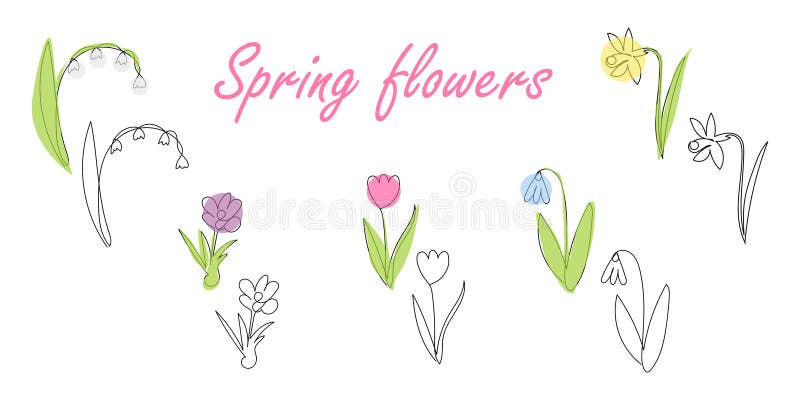Set of Spring Flowers in Lineart Style Stock Vector - Illustration of ...