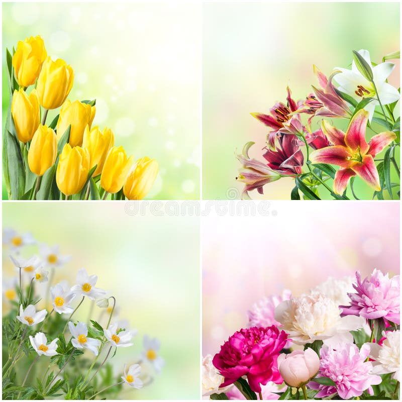 Set of Spring Flowers stock image. Image of decoration - 85886473