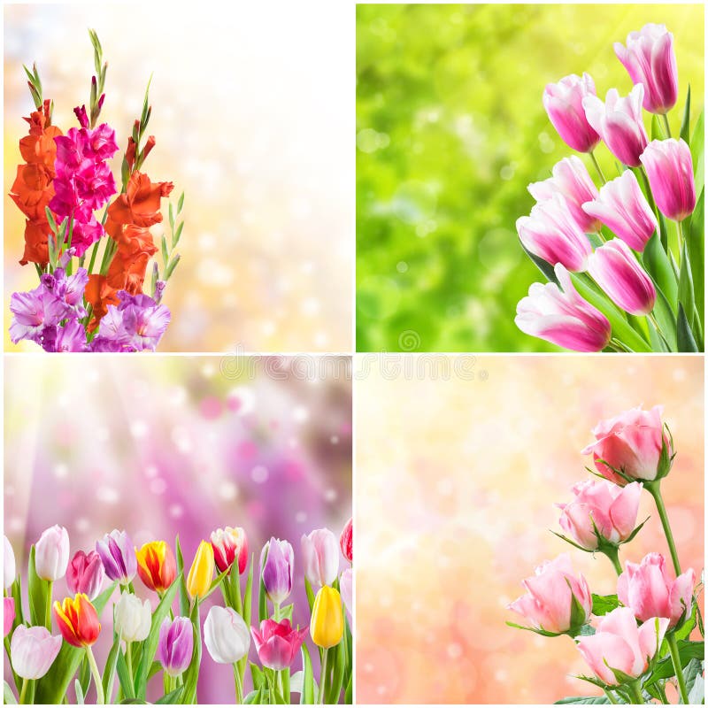 Set of Spring Flowers stock image. Image of green, pastel - 85886617