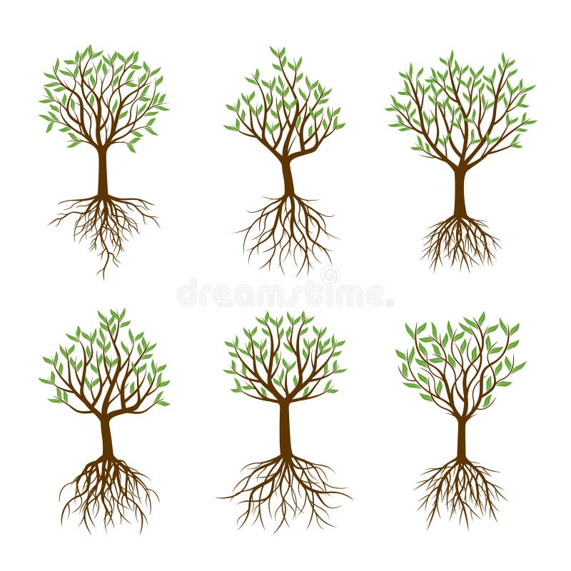 Set of Spring Trees with Roots. Stock Vector - Illustration of sample ...