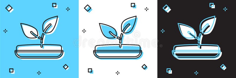 Set Sprout Icon Isolated on Blue and White, Black Background. Seed and ...