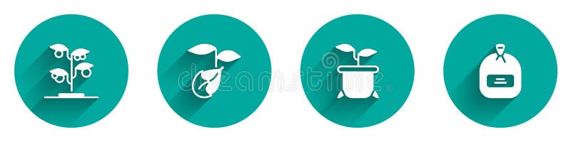 Set Sprout, Plant in Pot and Pack Full of Seeds Icon with Long Shadow ...