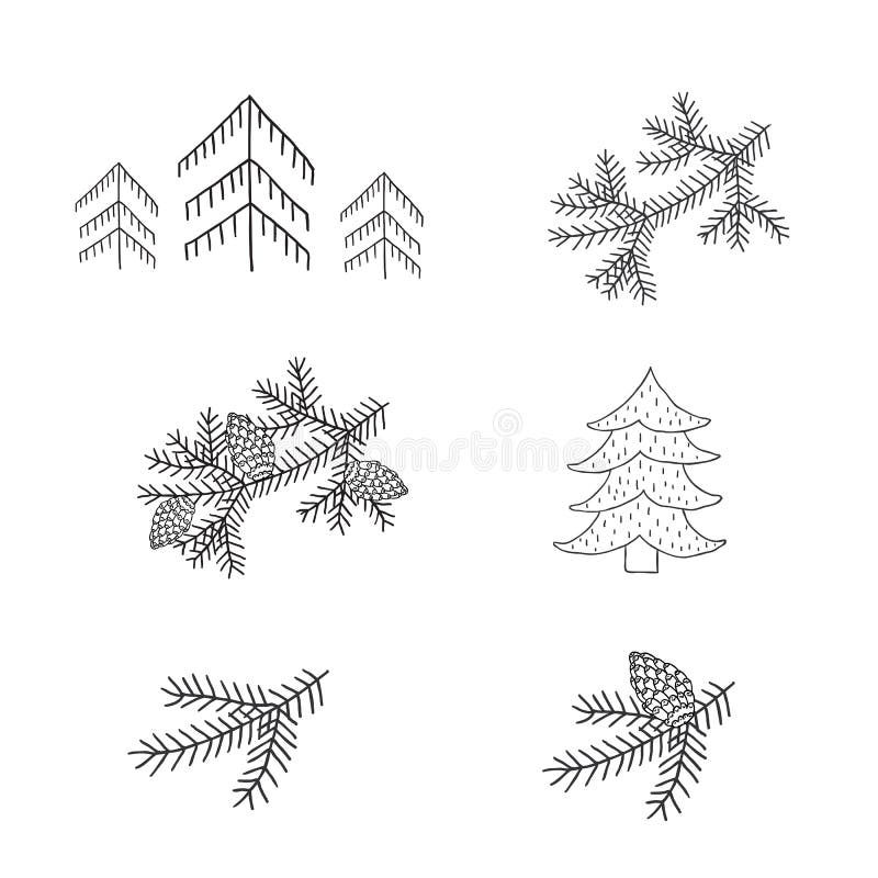 Set of Spruce Branch and Spruce Tree. Stock Vector - Illustration of ...