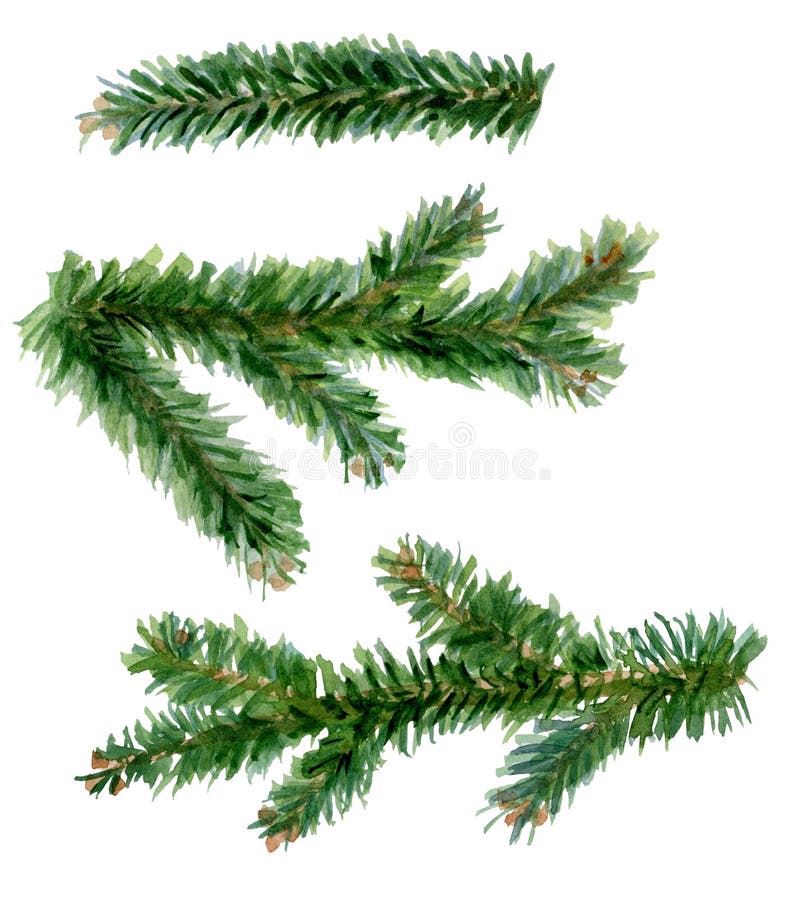 147 Flyers Trees Stock Photos - Free & Royalty-Free Stock Photos from ...