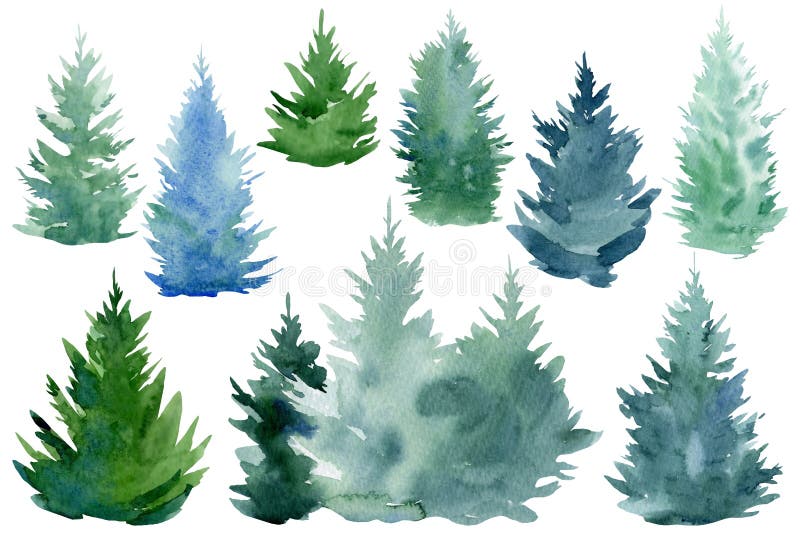Set of Spruce Trees on an Isolated White Background. Watercolor ...
