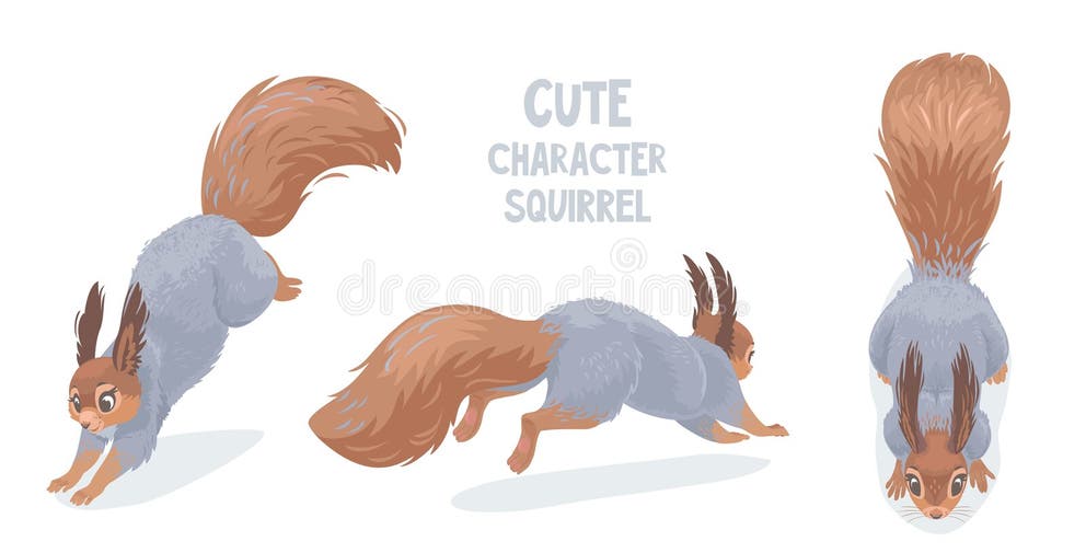 Set squirrels stock illustration. Illustration of happy - 362464616