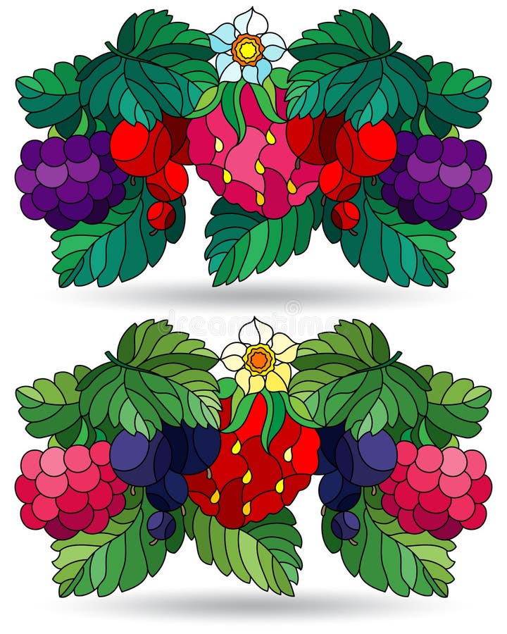 Set of Stained Glass Illustrations with Compositions of Berries and ...