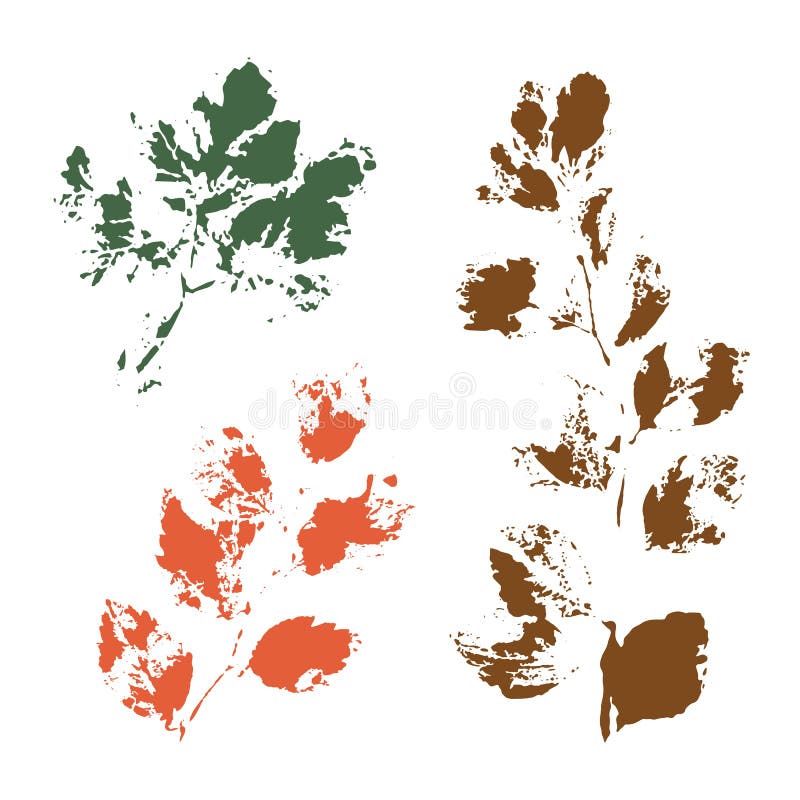 Set of Stamp Leaves. Vector Objects Isolated on White Background Stock ...