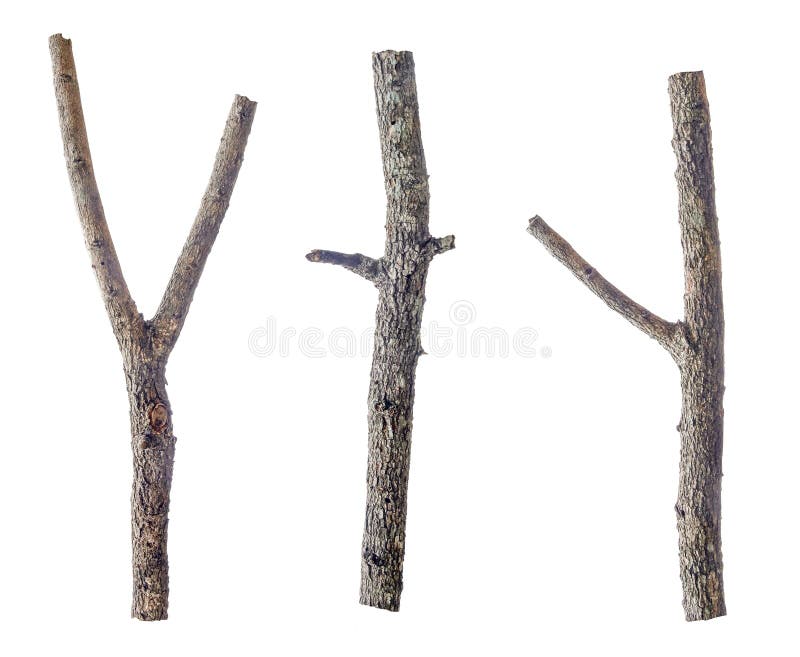 Set of Sticks of Dry Dead Branches, Stock Image - Image of death ...