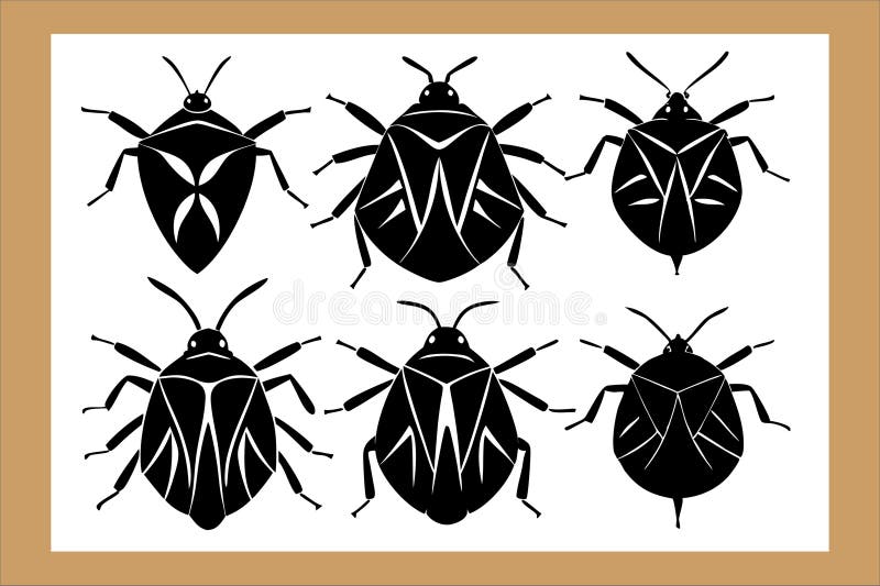 A set of stink Bugs stock vector. Illustration of shape - 342635698