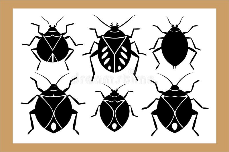 A set of stink Bugs stock vector. Illustration of vector - 342634230