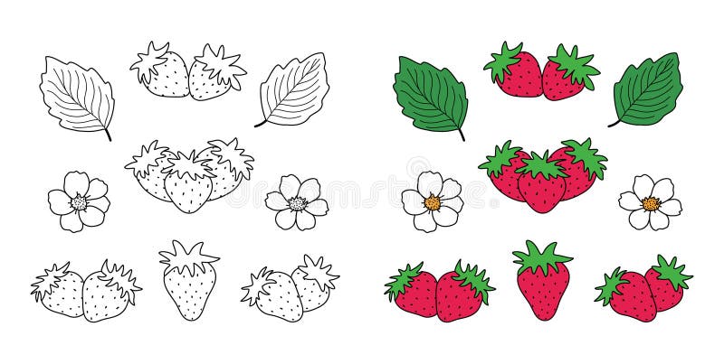 Set of Strawberry and Flower Designs for Coloring Book, Cute Strawberry ...