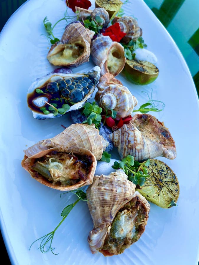 Set of Stuffed Snails with Sauce and Cheese Stock Image - Image of ...