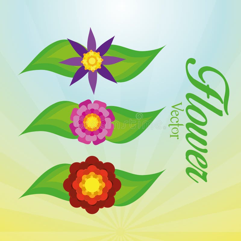 Set of Stylish Colorful Flowers Isolated Stock Vector - Illustration of ...