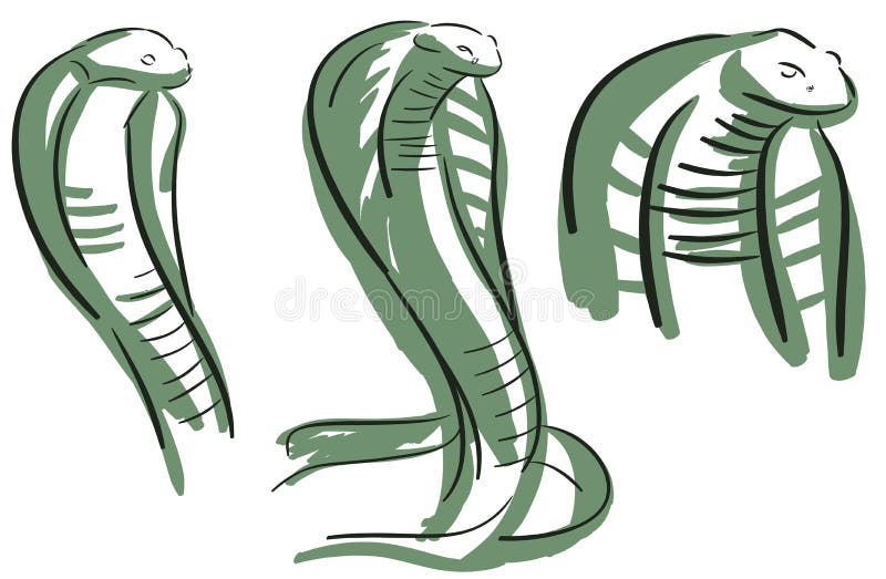Stylized cobra isolated stock vector. Illustration of danger - 51042334