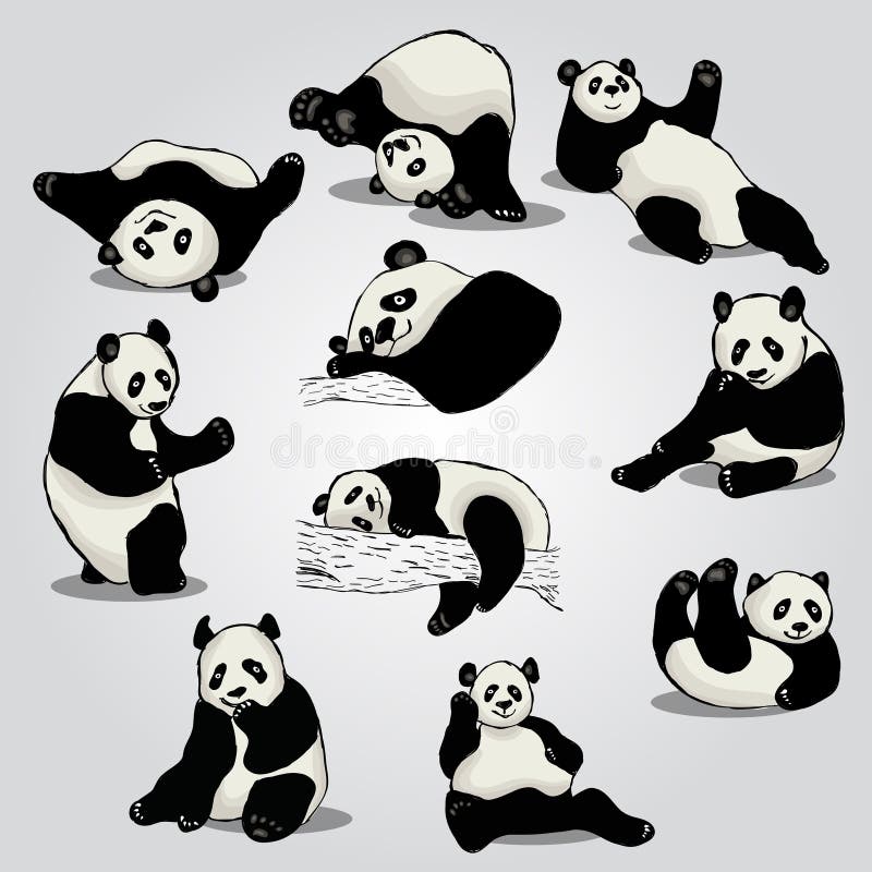 Pandas In Different Positions Stock Vector - Illustration of life ...