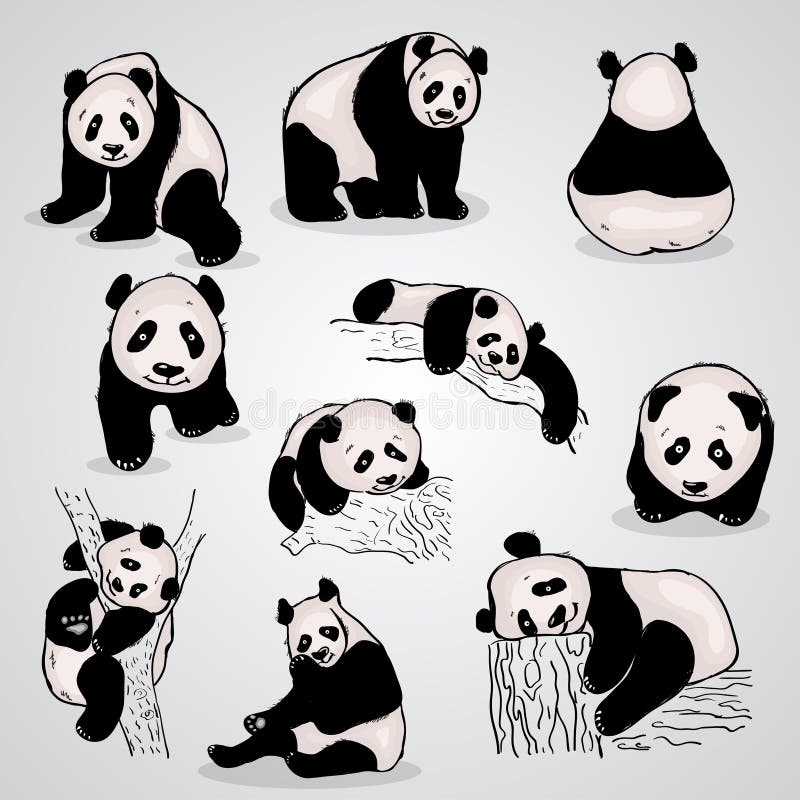 Set of Stylized Pandas in Different Positions Stock Illustration ...
