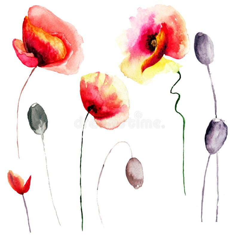 Stylized Poppy flower stock illustration. Illustration of flower - 25223394