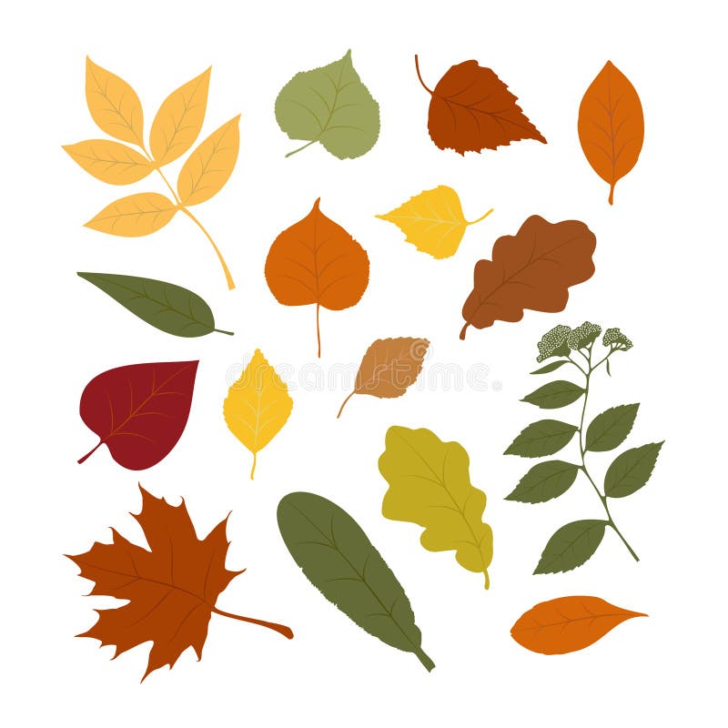 A Set of Stylized Tree Leaves. Collection of Falling Autumn Leaves ...