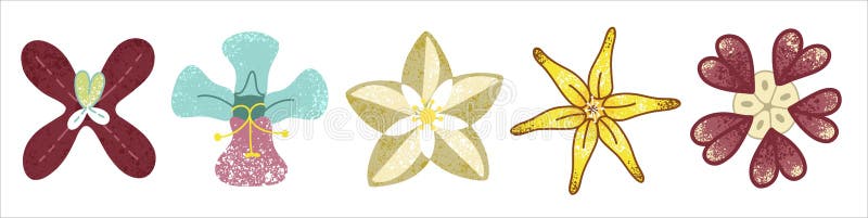 A Set of Stylized Unusual Colors. an Illustration in the Style of a ...