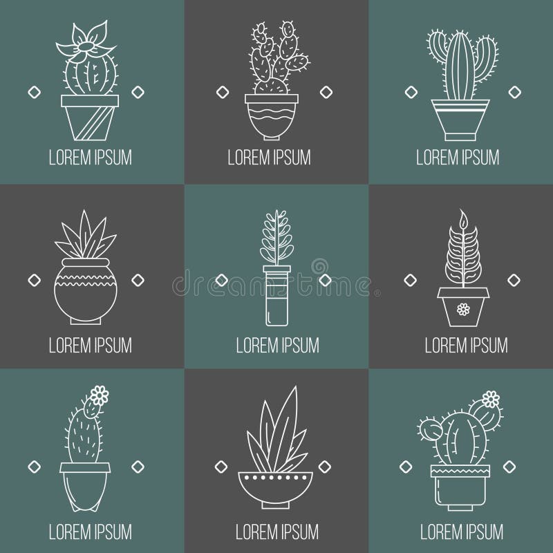 Set of Succulent Plants and Cactuses in Pots..Linear Logo Element ...