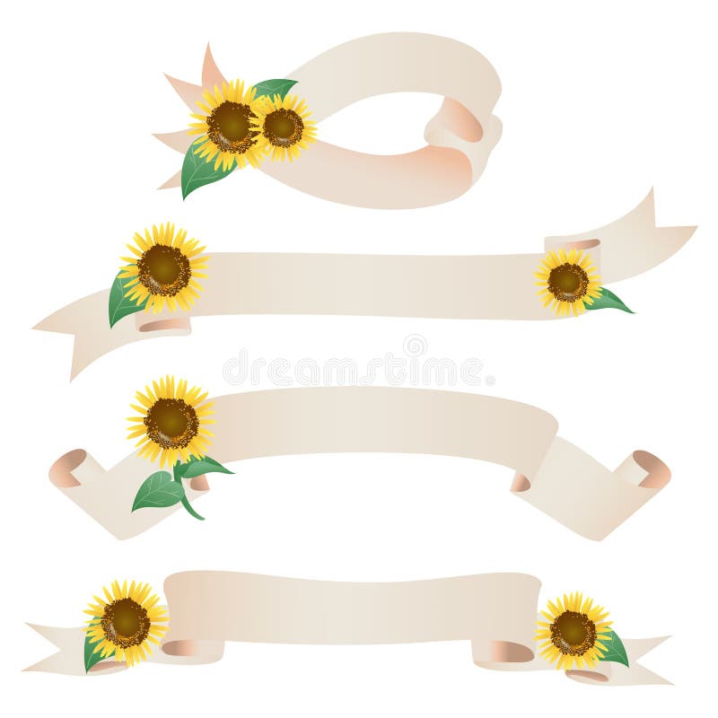 Set of Sunflower with Ribbon Stock Vector - Illustration of cute, frame ...