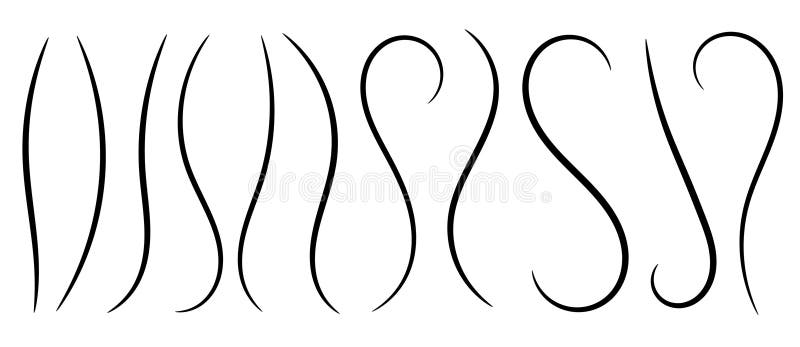 Set of Swoosh Vector Hand Drawn Lettering Underlines Lines Swoosh ...