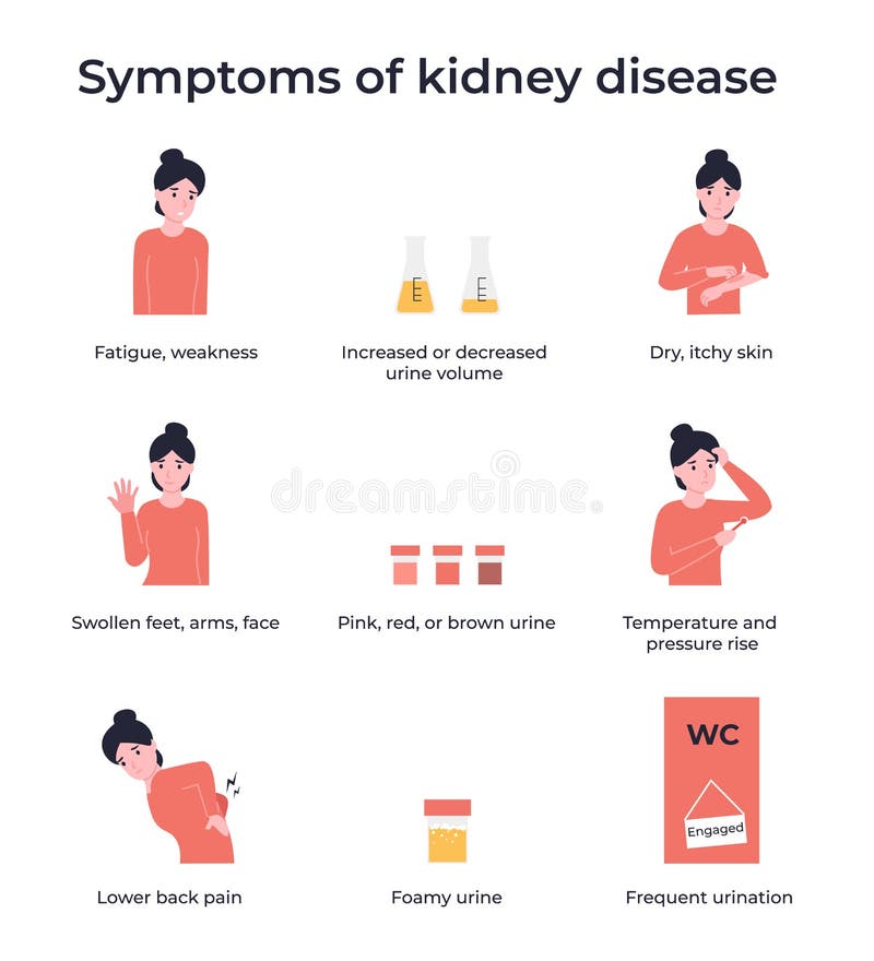 Cartoon Acute Kidney Injury Stock Illustrations – 7 Cartoon Acute ...