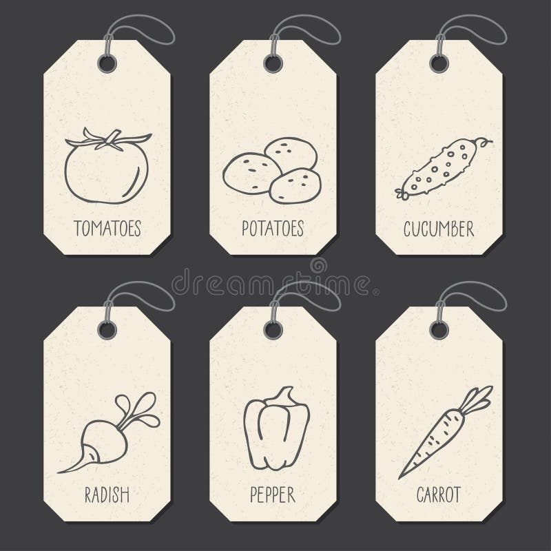 Set of Tags or Label Templates with Hand Drawn Vegetable Stock Vector ...