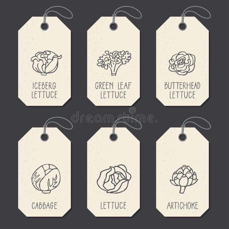 Set of Tags or Label Templates with Hand Drawn Vegetable Stock Vector ...