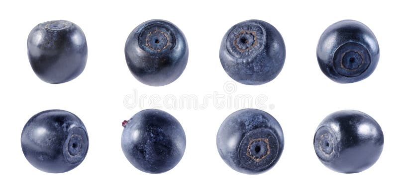 Set with Tasty Fresh Bilberries Isolated on White Stock Photo - Image ...