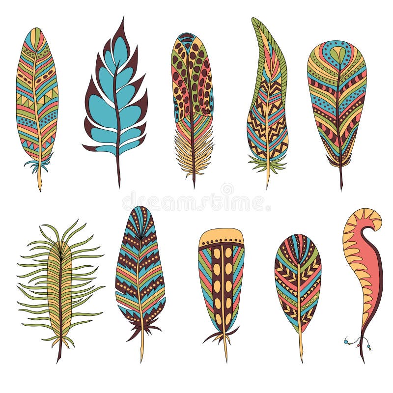 Set of ten feathers stock vector. Illustration of ornament - 49099769