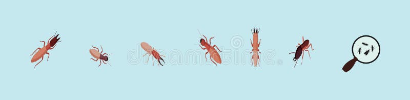 Set of Termite Cartoon Icon Design Template with Various Models. Vector ...