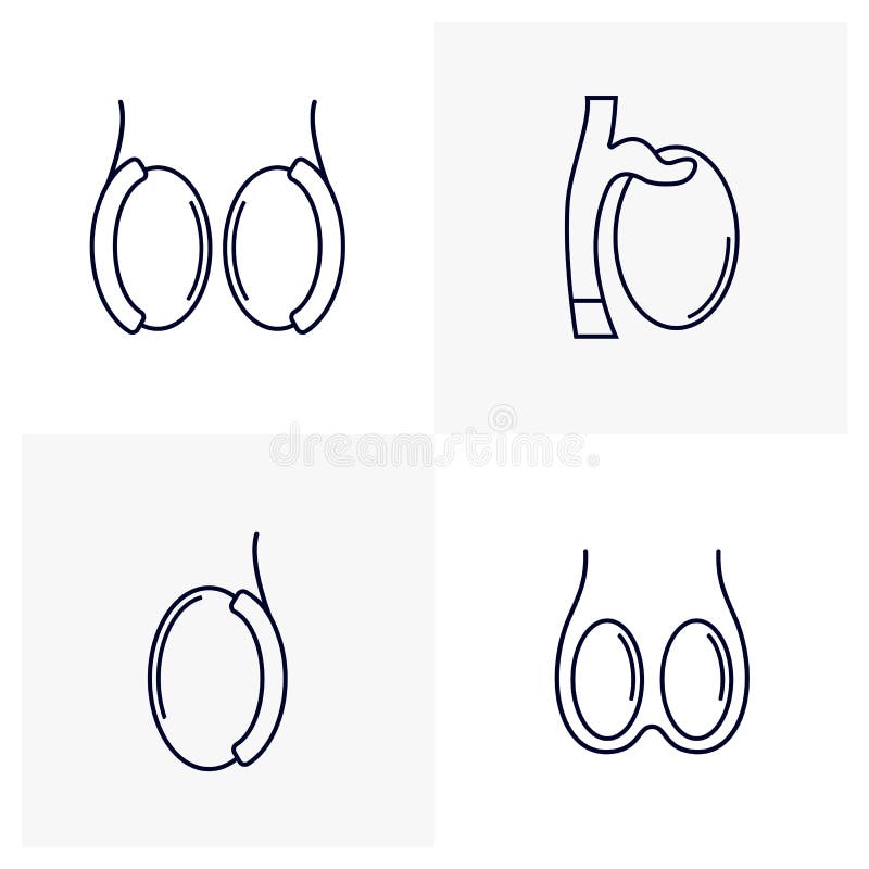 Testicles Logo Design Vector Template Organs Logo Design Concept Icon ...