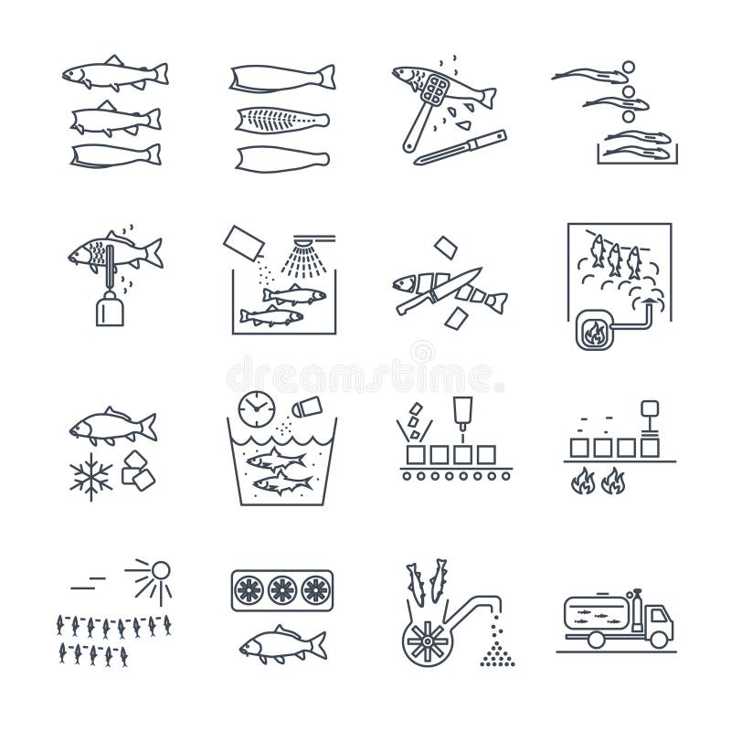 Set of Thin Line Icons Processing of Fish Stock Vector - Illustration ...