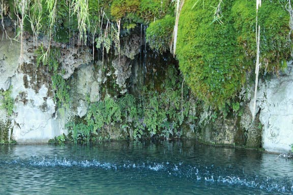 Nature: Set of Things that Exist in the World or that are Produced or ...