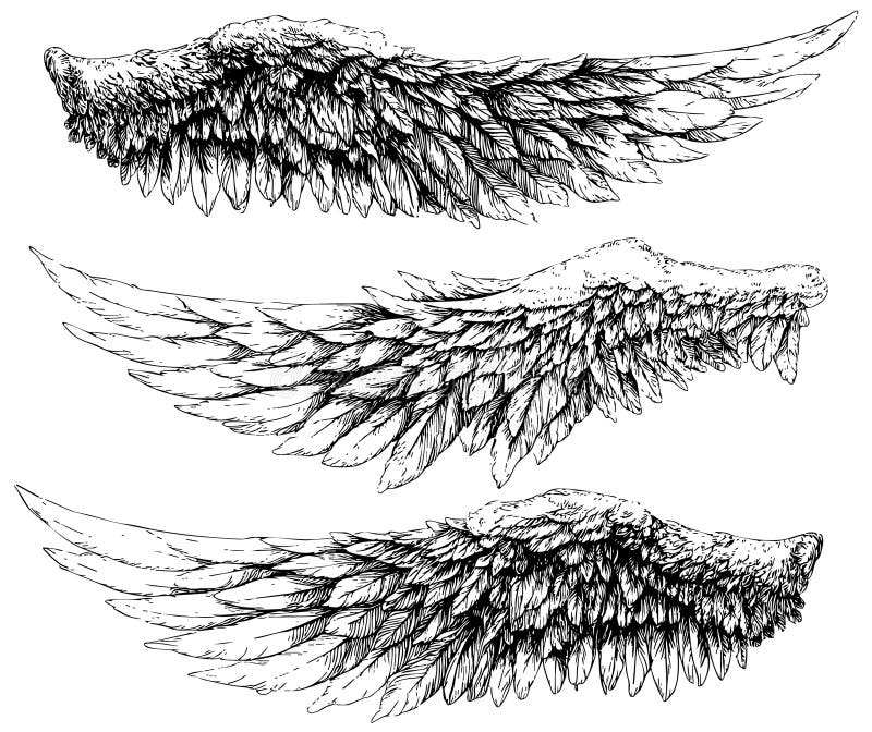 Wings Vector Clip Art Stock Illustrations – 14,864 Wings Vector Clip ...