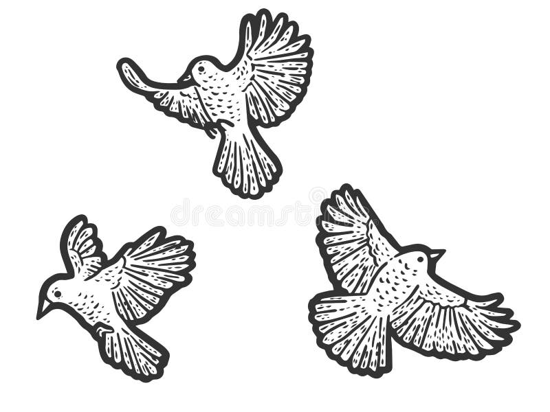 Set, Three Birds are Flying. Engraving Vector Illustration. Sketch ...