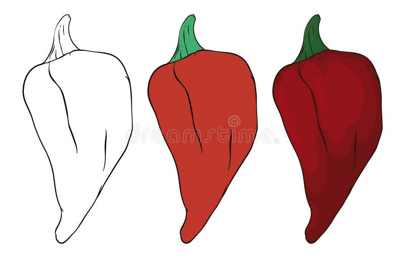Set with Three Chili Peppers in Different Versions, Vector Illustration ...