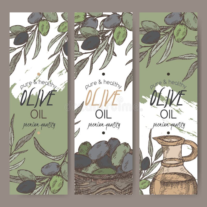Set of Three Color Vector Olive Oil Label Templates. Stock Vector ...