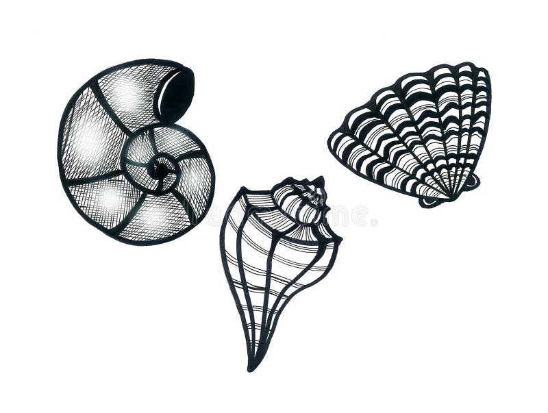 Doodle Seashells Black Stock Photos - Free & Royalty-Free Stock Photos ...