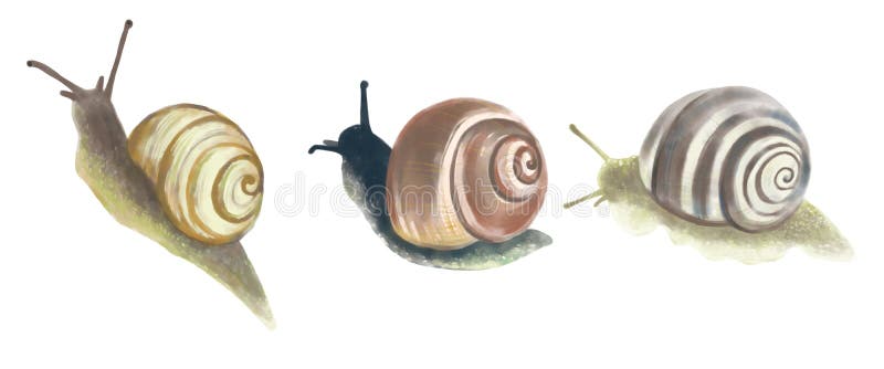 Set of Three Digital Watercolor Snails on White Background Stock Photo ...