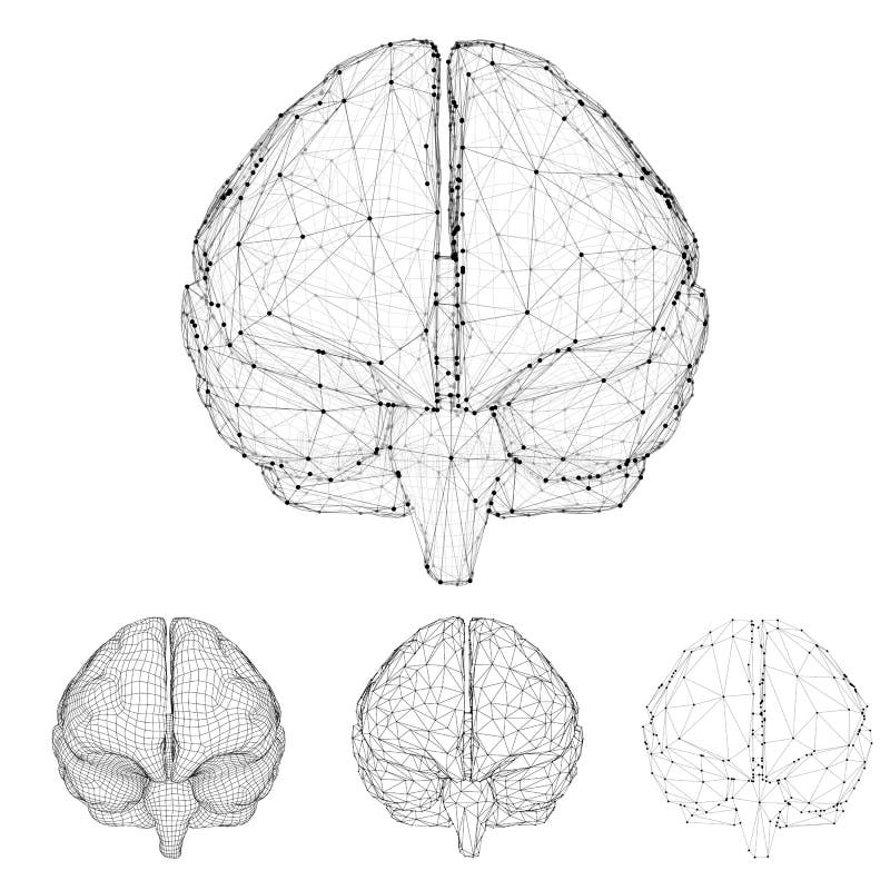 Neuroscience Infographic on Space Background. Brain Cells Connectome ...