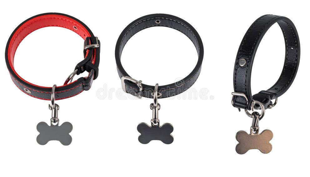 Set of Three Dog Collars with Bone Shaped Tags Hanging, Isolated on ...