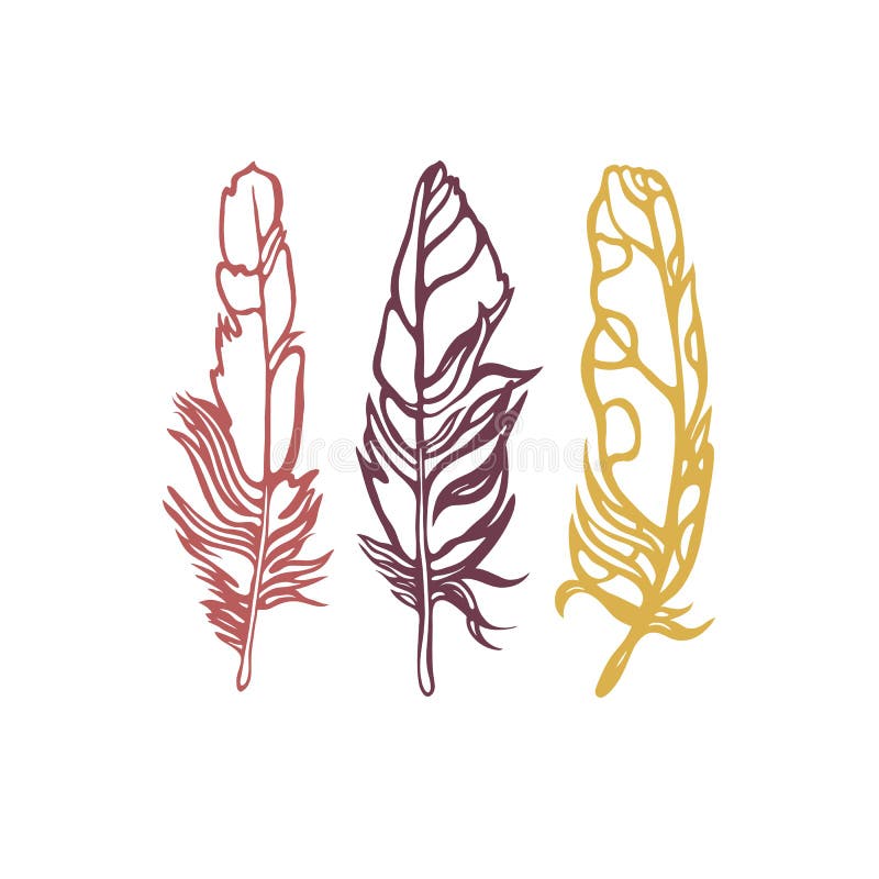 Set Of Three Hand-drawn Graphic Feathers Stock Vector - Illustration of ...