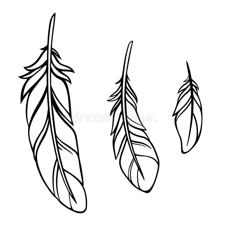 Feathers Made in a Simple Graphic Style Stock Vector - Illustration of ...