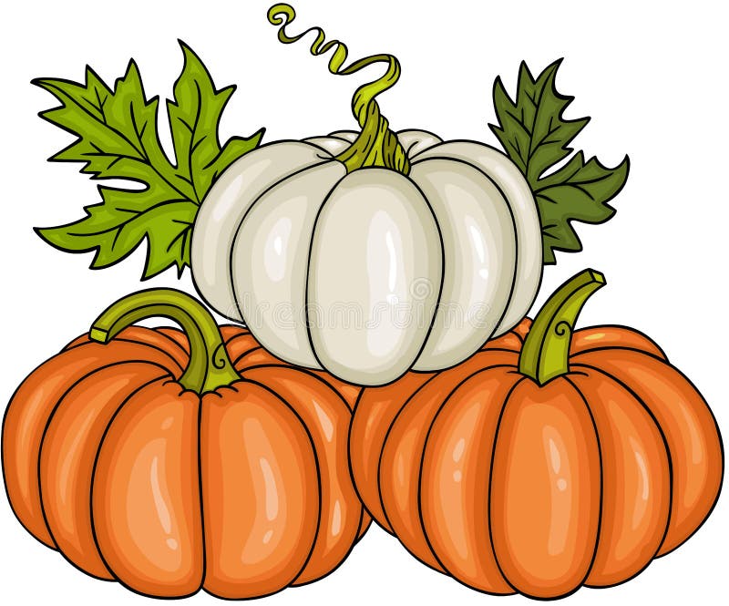 3 Pumpkins Clipart Images