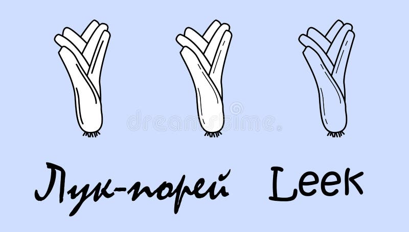 A Set of Three Leek Objects with the Inscription "leek" in Russian and ...