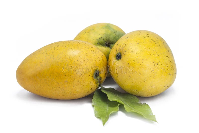 408 Three Mangoes Stock Photos - Free & Royalty-Free Stock Photos from ...